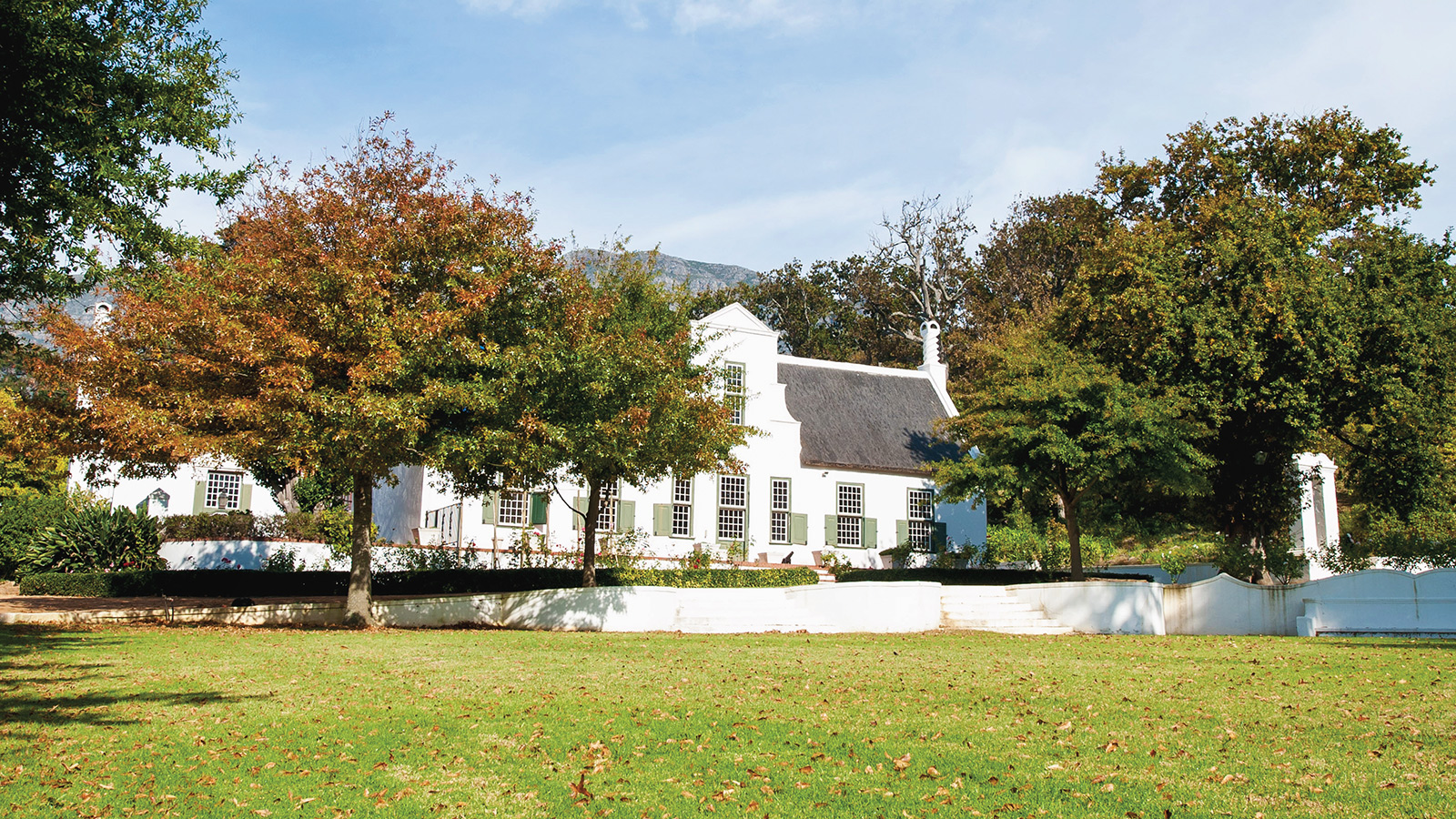 Klein Constantia Wakes Up | Wine Spectator's Top 100
