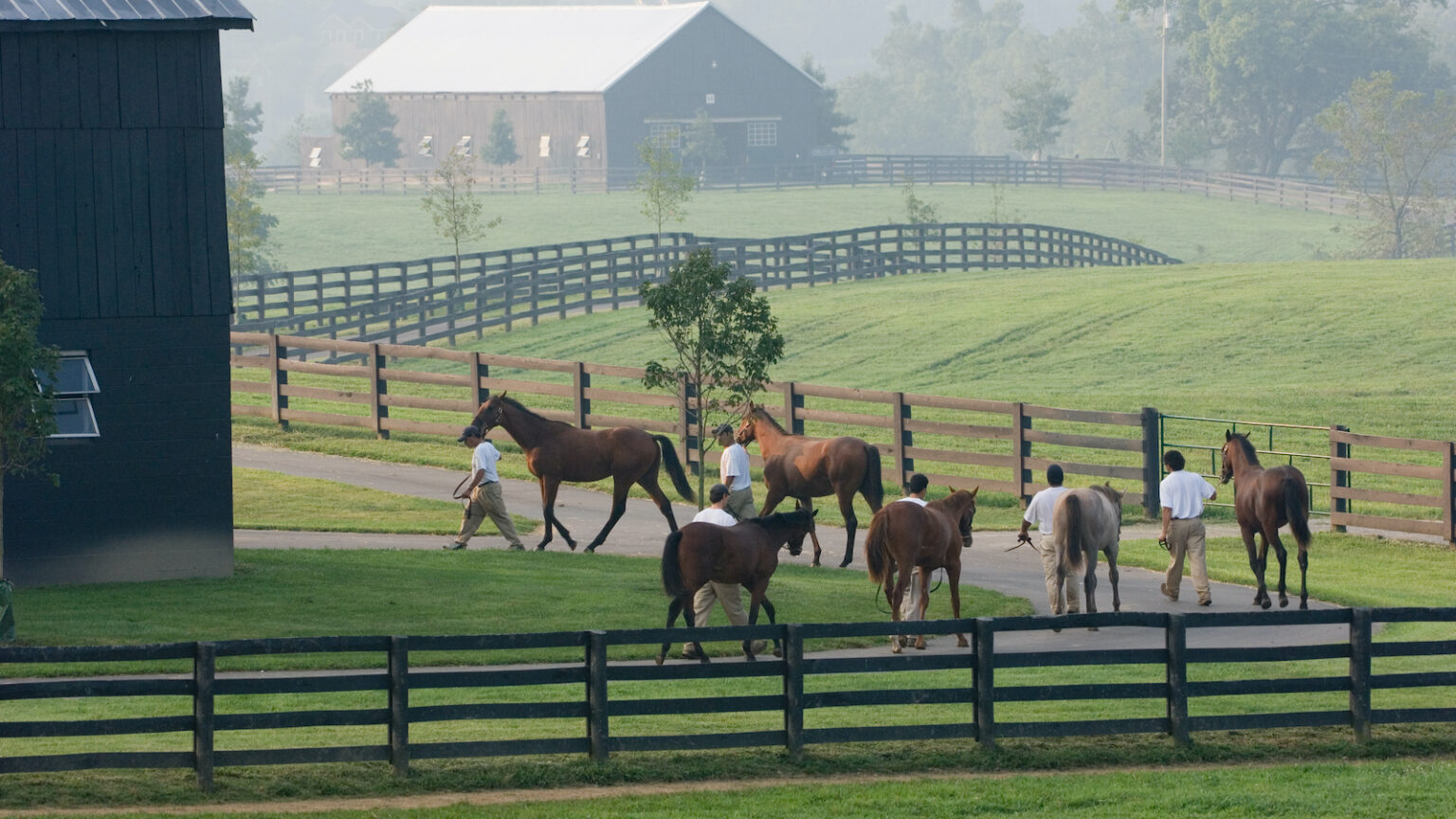 As With Bourbon, Kentucky Is a Thoroughbred Pacesetter - Whisky Advocate
